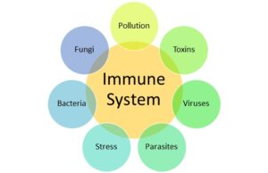 Ways to Boost Your Immune Function | Luminous Health Vancouver